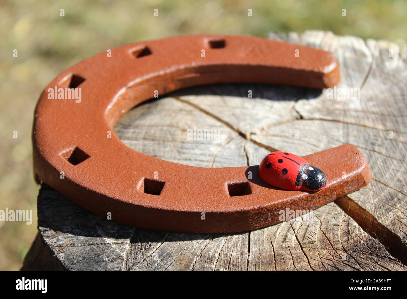 The picture shows luck wishes with a horseshoe Stock Photo - Alamy