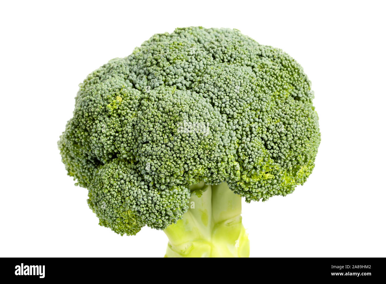 Close up, side view of a fresh, healthy organic broccoli head, isolated ...