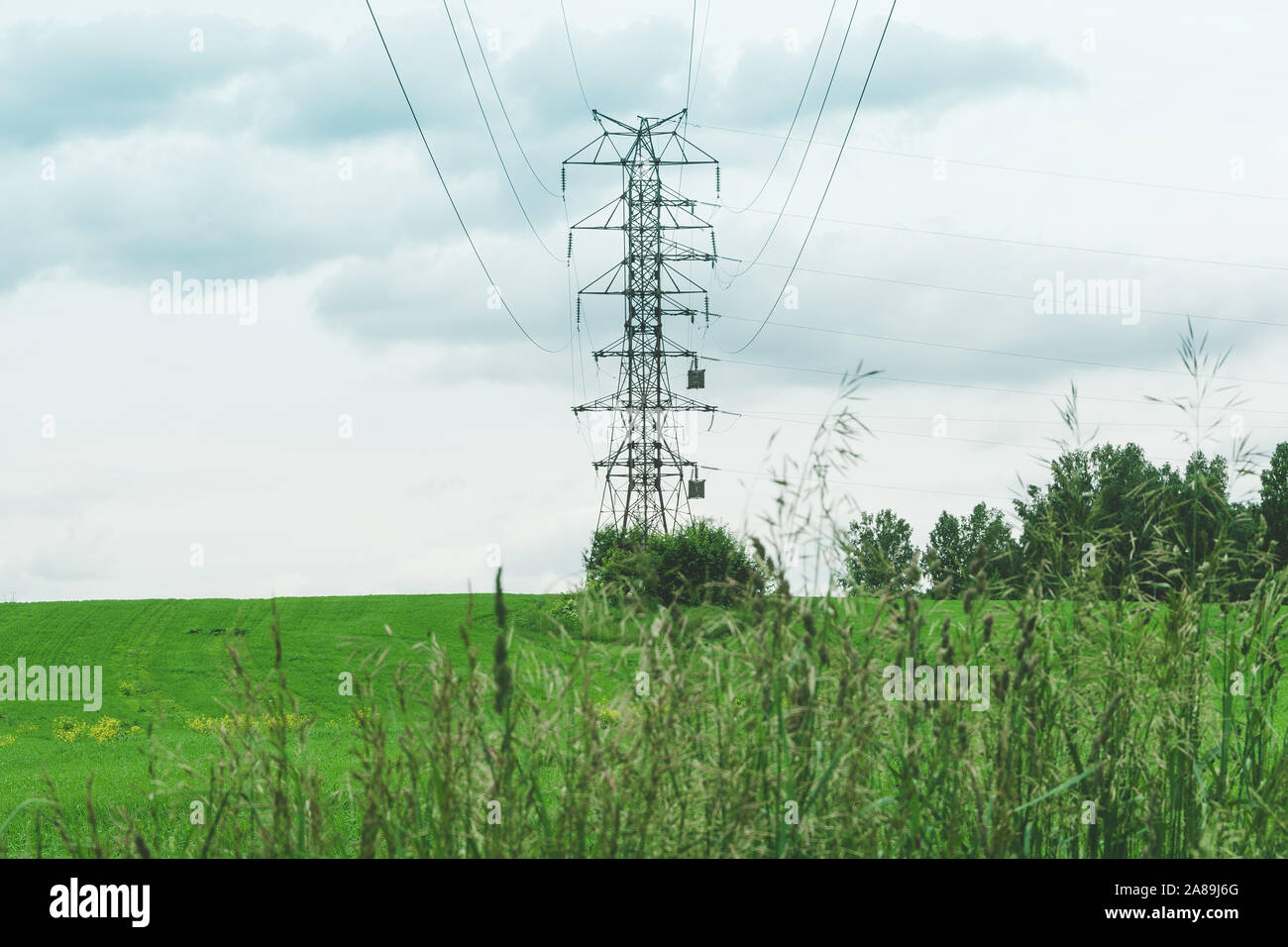 Power lines in green field on summer day. Transportation of electricity ...