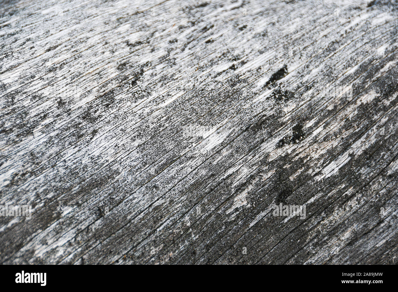 Trunk without bark hi-res stock photography and images - Alamy