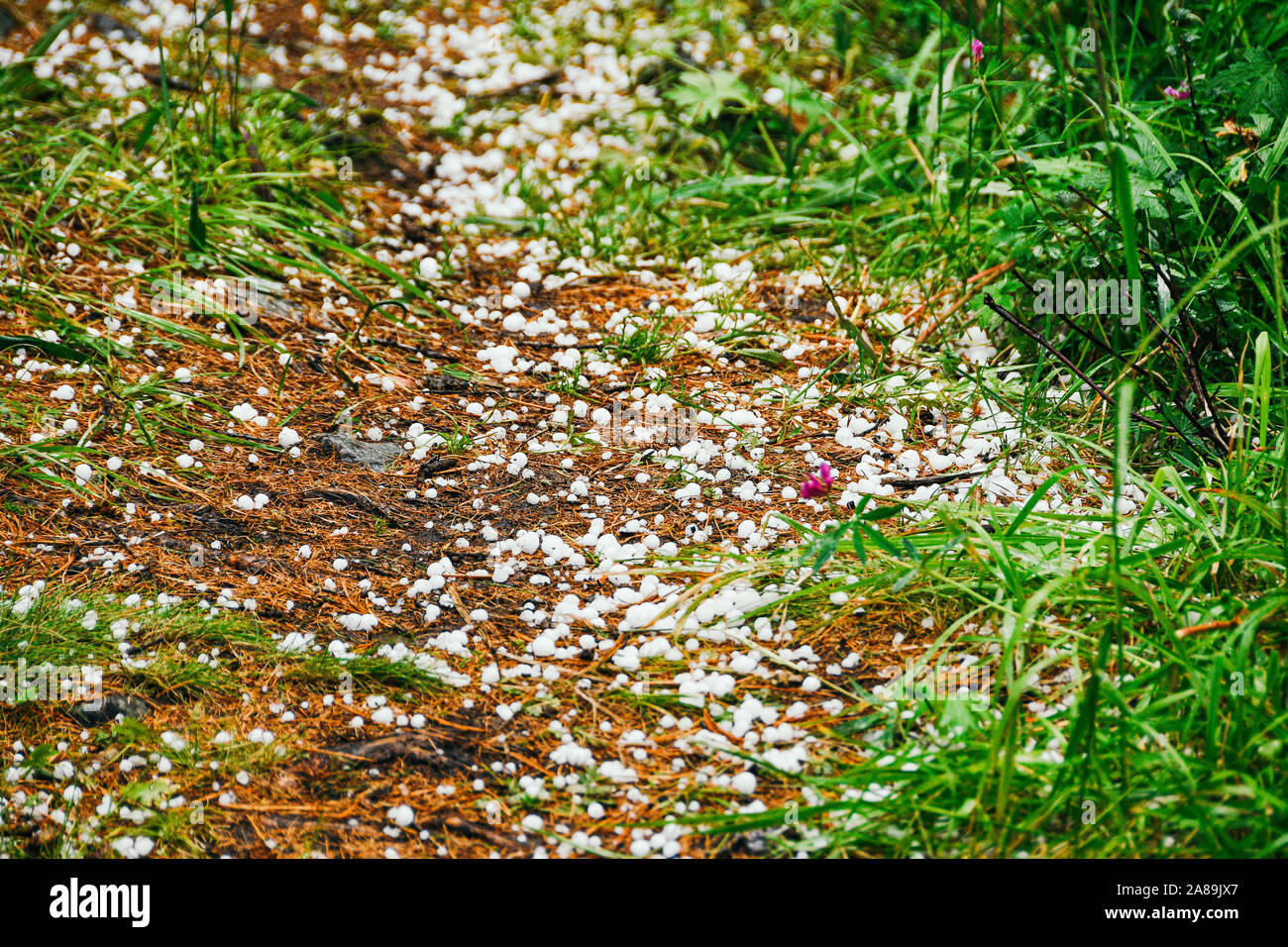 Hailstone fall hi-res stock photography and images - Alamy