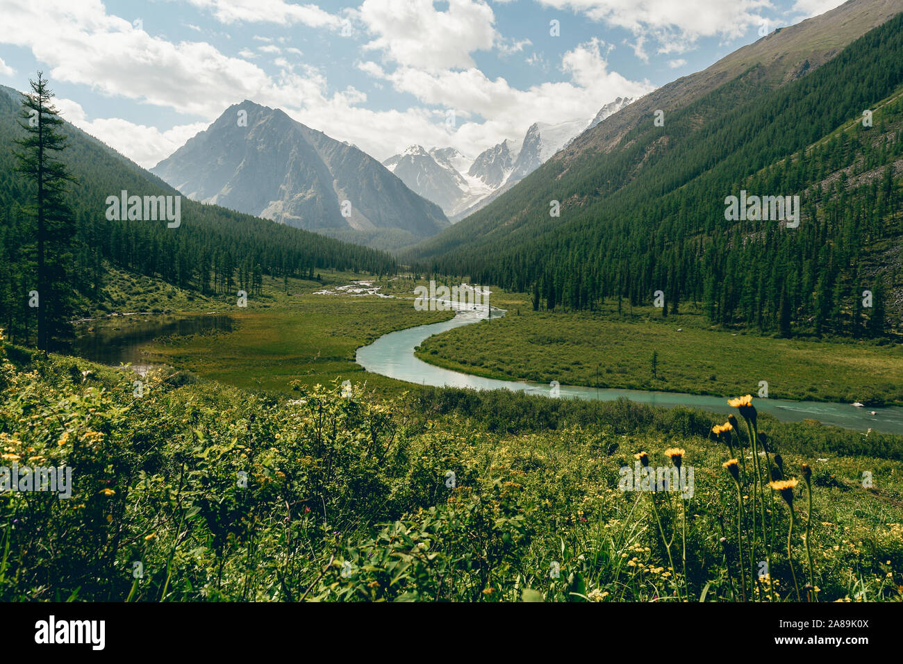 Green ribbon on the river hi-res stock photography and images - Alamy