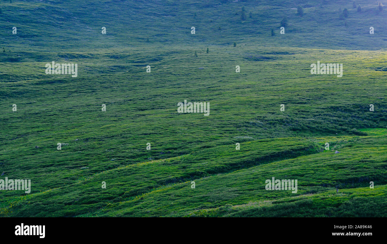 Smooth green grass hi-res stock photography and images - Alamy