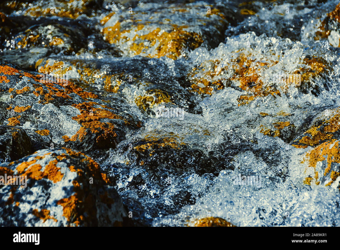 Mountain stream with yellow stones. Rapid flow of river, boiling water ...
