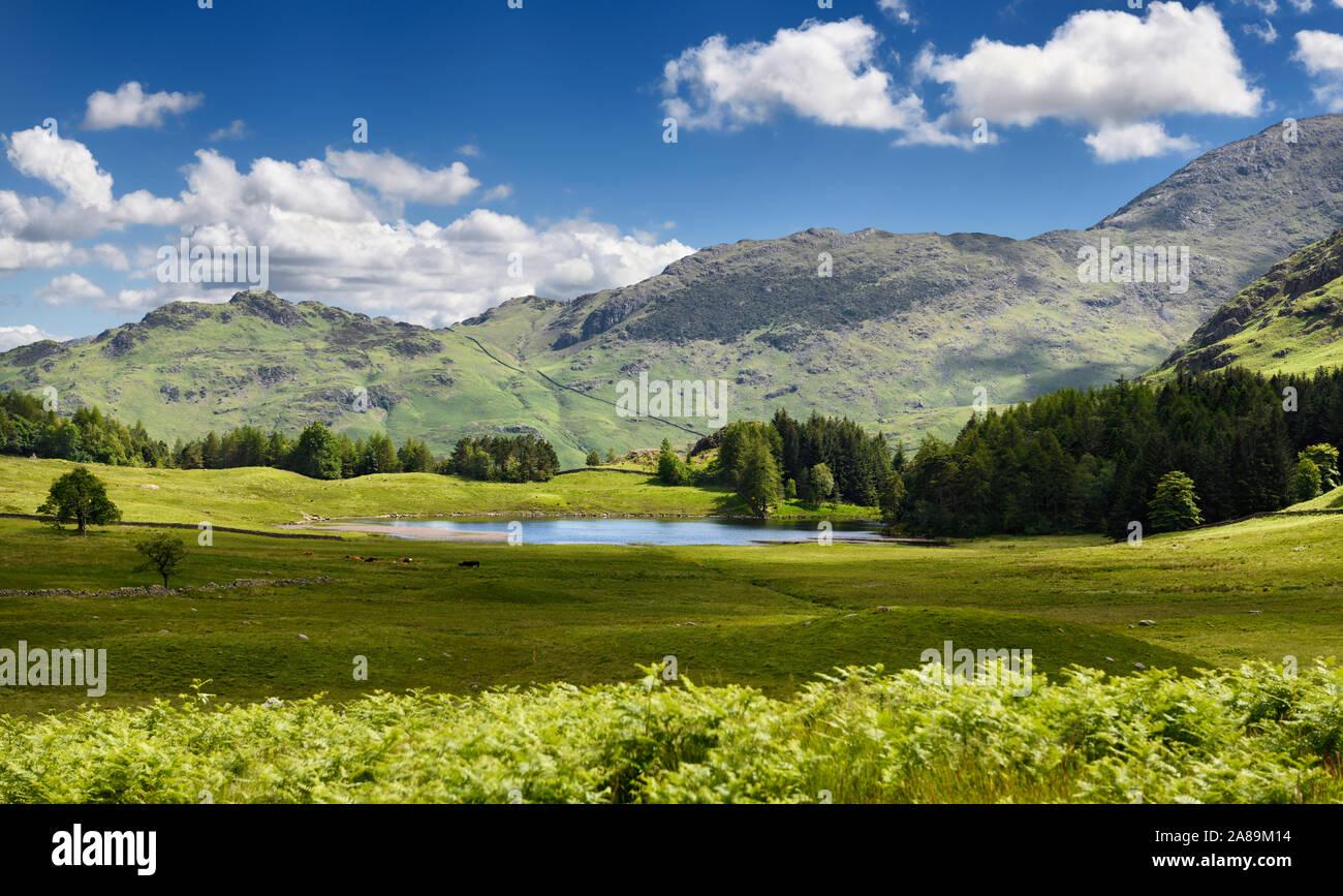 Blea Tarn pond in Little langdale valley with Wetherlam and Birk Fell ...
