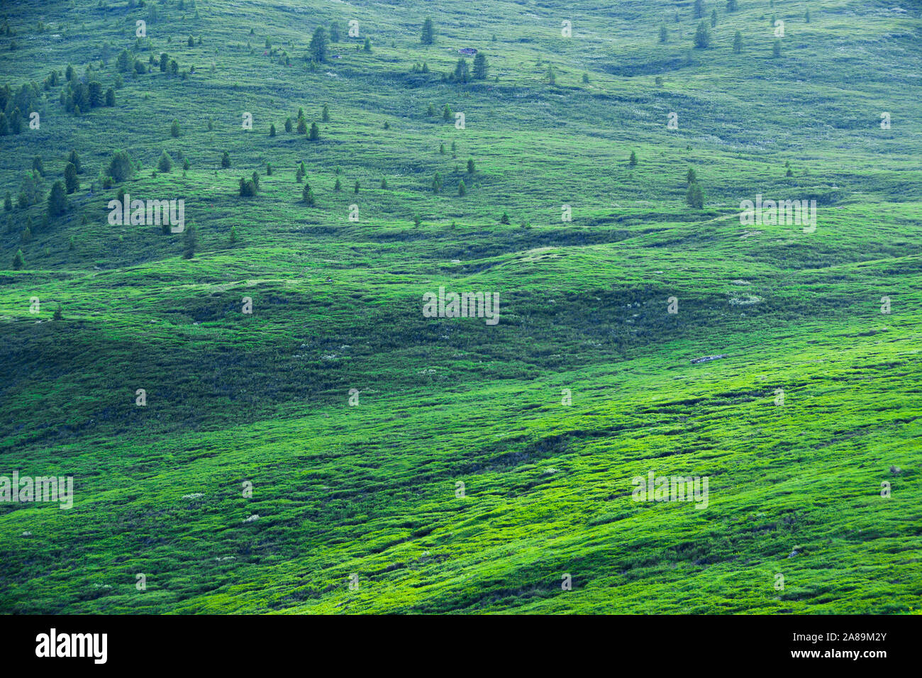 Smooth hills hi-res stock photography and images - Alamy