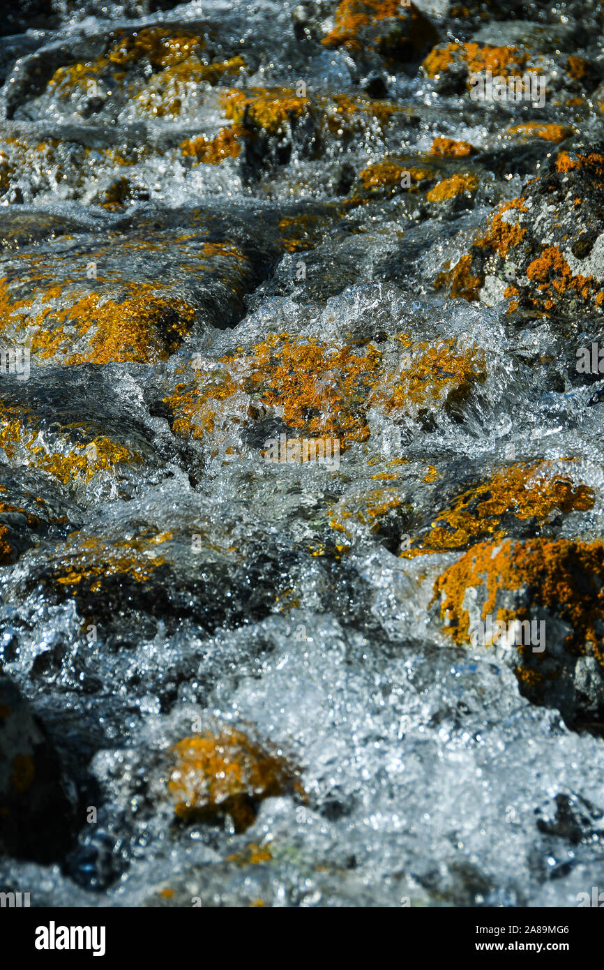 Mountain stream with yellow stones. Rapid flow of river, boiling water ...