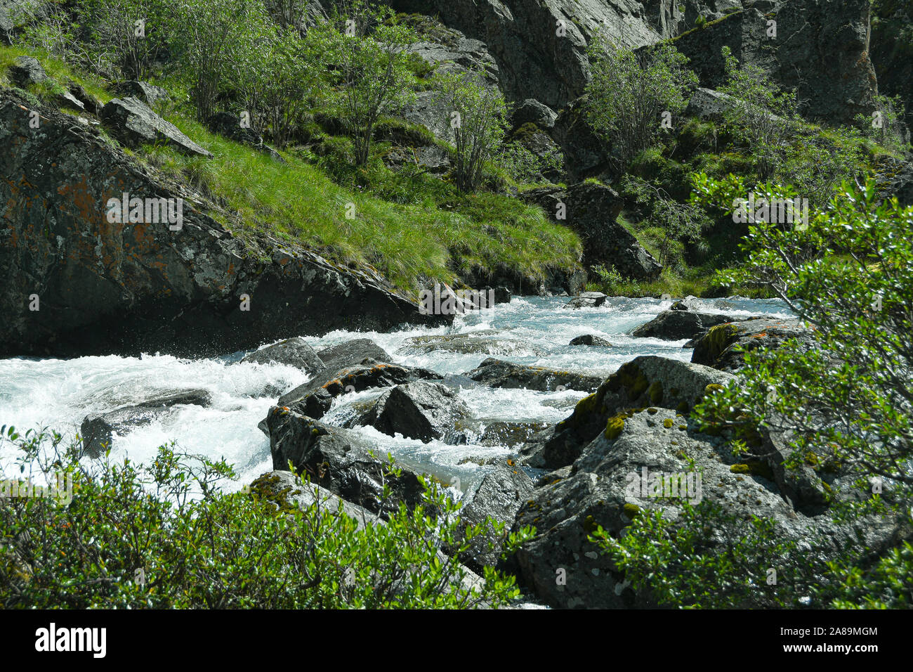 Swift splash hi-res stock photography and images - Alamy
