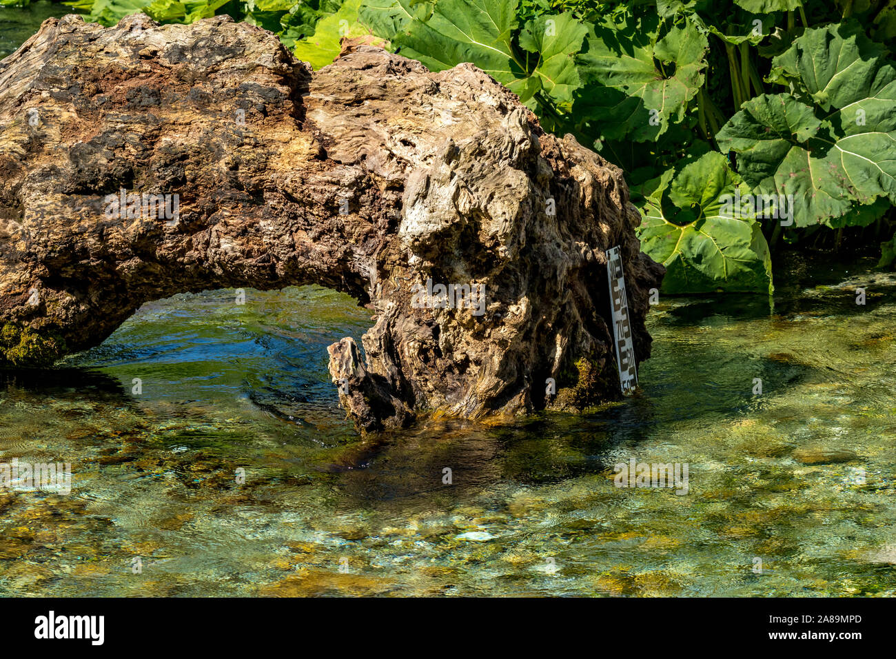 Crystal Clear Stream High Resolution Stock Photography and Images - Alamy