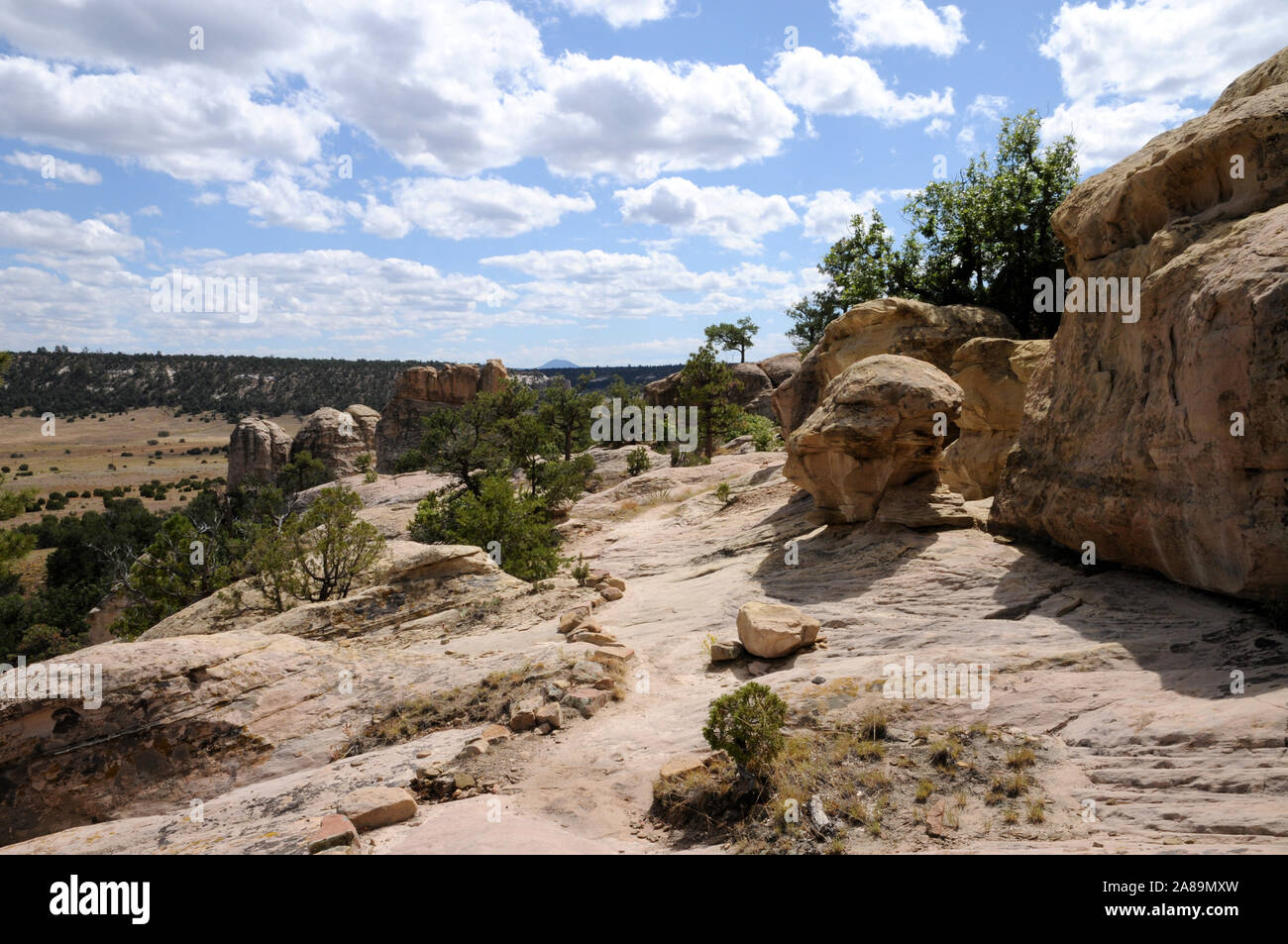 The sandstone summit of El Morro National Monument in the NW of New ...