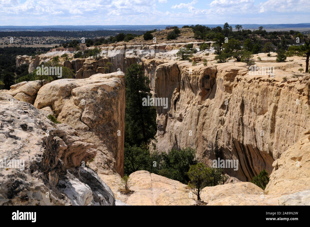 The sandstone summit of El Morro National Monument in the NW of New ...