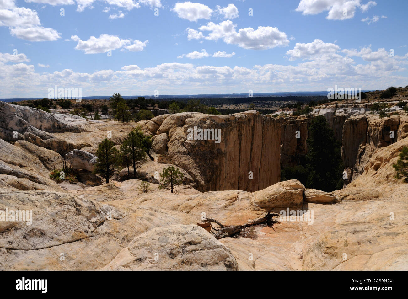 The sandstone summit of El Morro National Monument in the NW of New ...