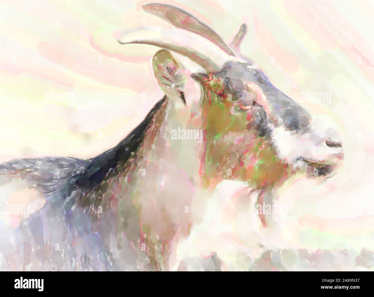 watercolor illustration: Lateral portrait of a goat, scientific name ...