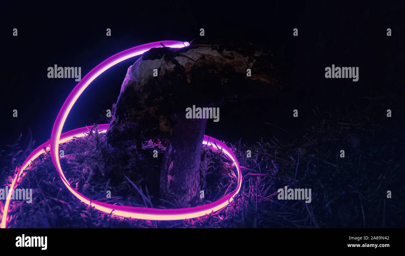 Neon magic mushroom in forest on moss. Psychedelic effects of night ...