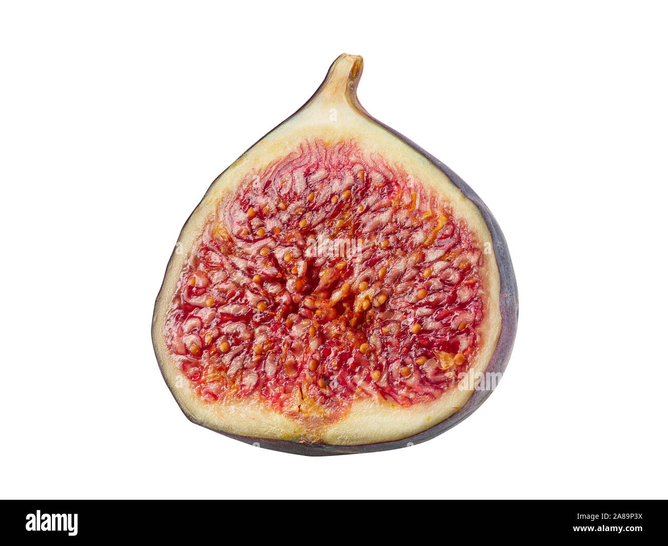 Half of a tasty purple fig isolated on white background with copy space ...