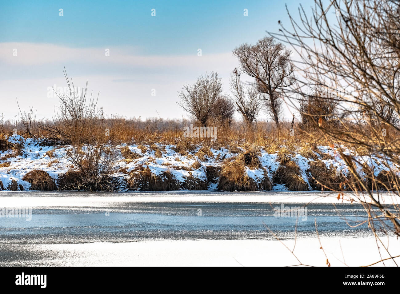 landscape, frozen river Bank, trees and grass in the snow Stock Photo ...