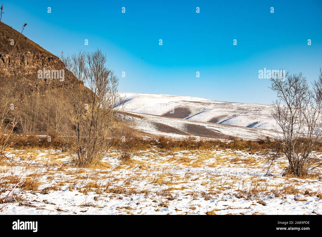 landscape, frozen river Bank, trees and grass in the snow Stock Photo ...