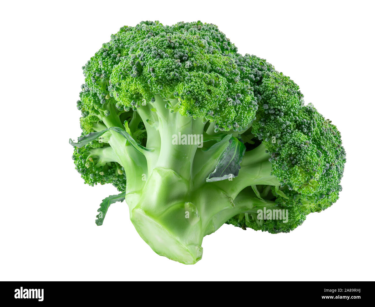 Mellow green broccoli isolated on white background with copy space for ...
