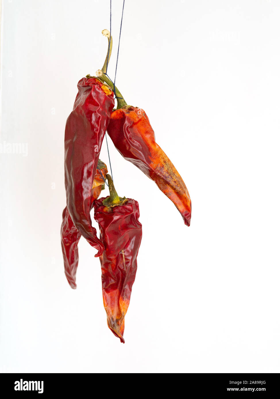 Four red, hot peppers drying on a string. White background. Copy space ...