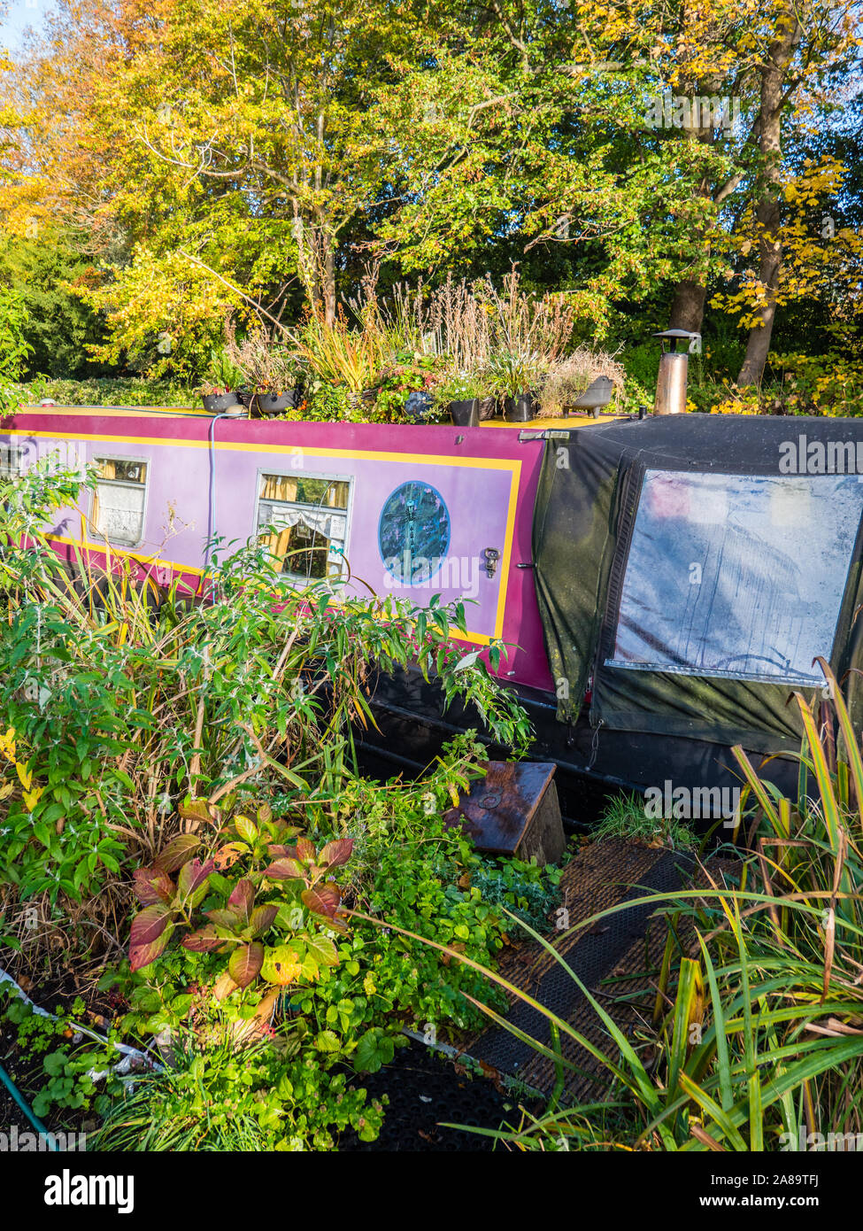Narrow Boat in Autumn, Castle Mill Stream, Backwater of The River ...
