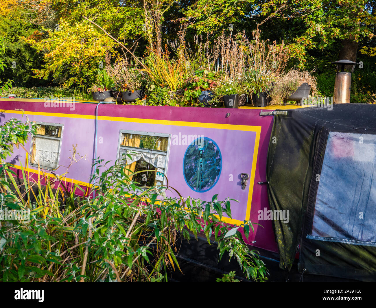 Narrow Boat in Autumn, Castle Mill Stream, Backwater of The River ...