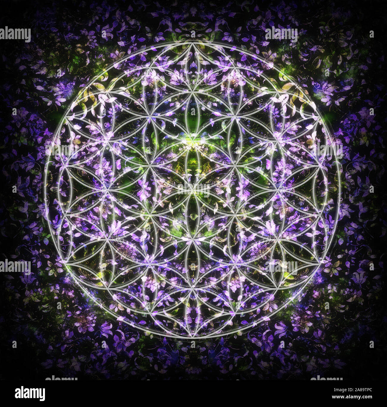 Sacred Geometry Flower Life Design High Resolution Stock Photography ...