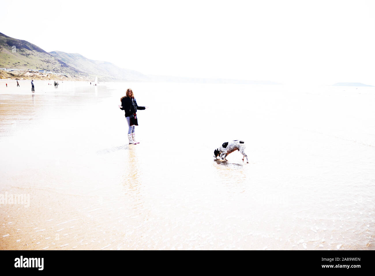 Coastal walk with dog hi-res stock photography and images - Alamy