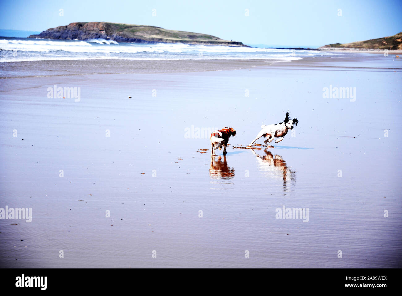 Atlantic ocean dogs bay hi-res stock photography and images - Alamy