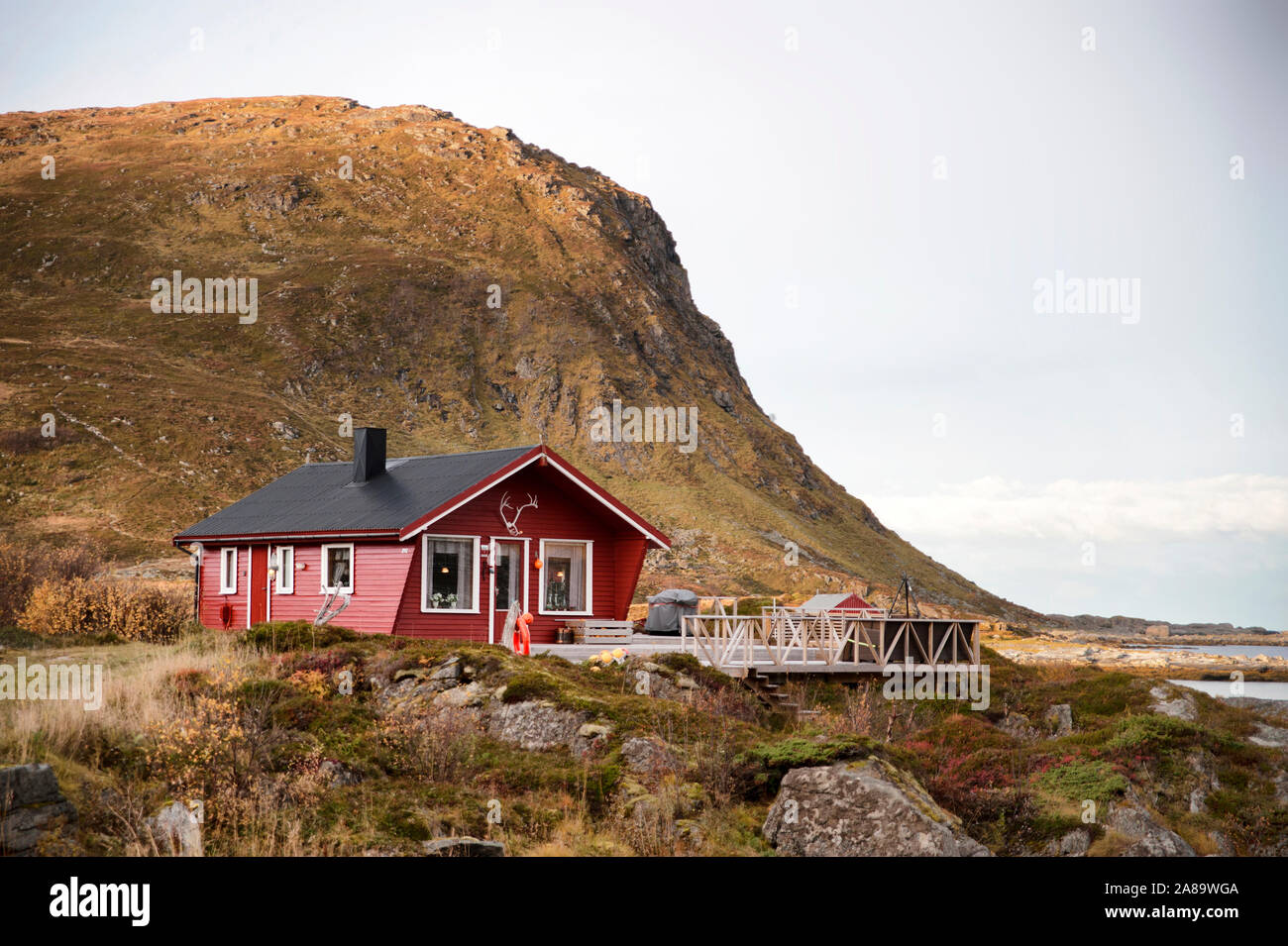 Lofoten Islands, traditional red wooden house Stock Photo - Alamy