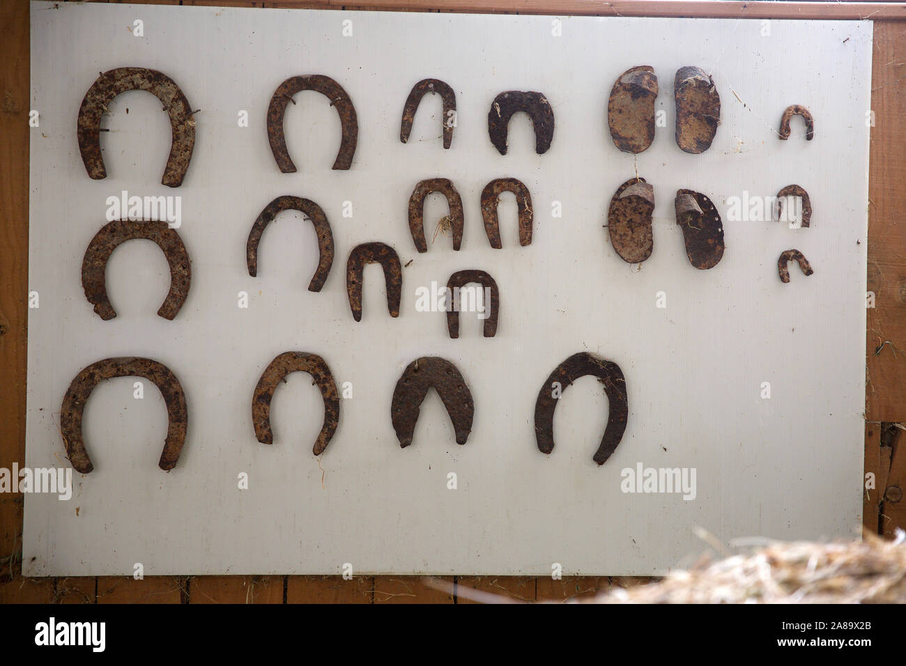 Goat shoes hi-res stock photography and images - Alamy