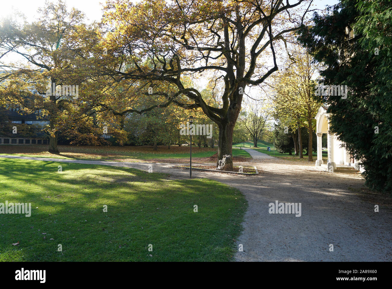 Well laid out path through a park invites you to go for a walk Stock ...