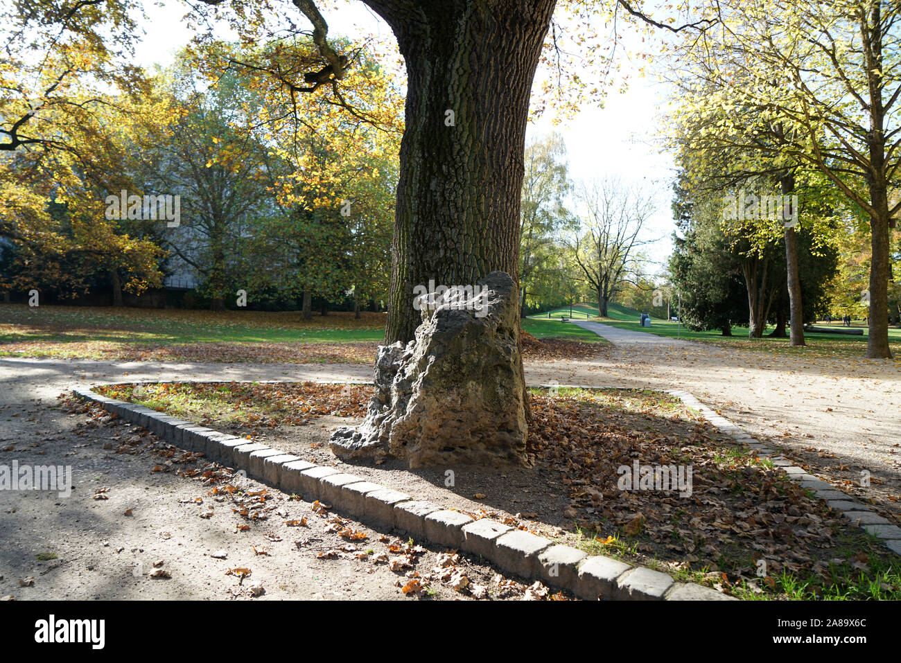 Well laid out path through a park invites you to go for a walk Stock ...