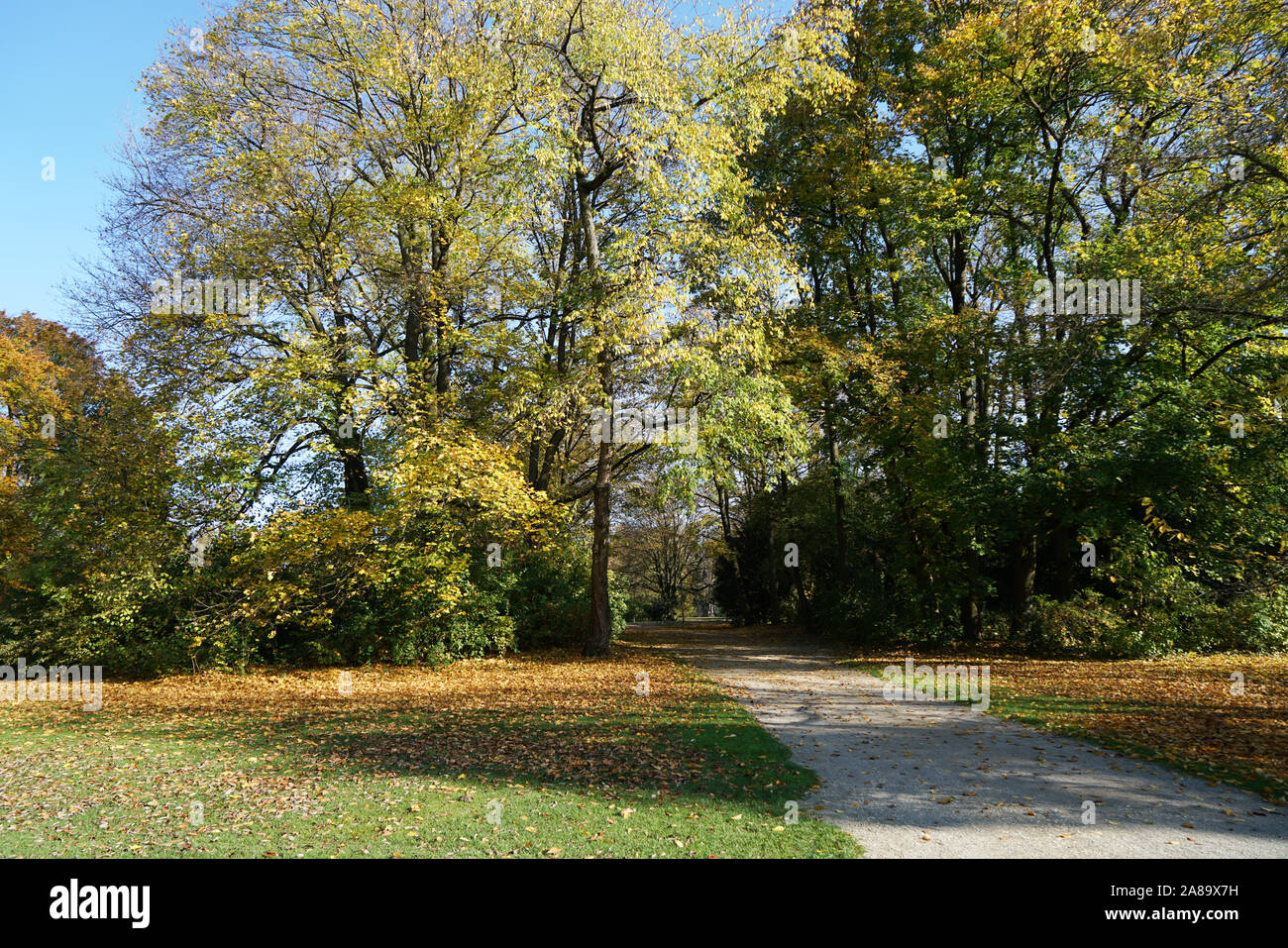 Well laid out path through a park invites you to go for a walk Stock ...