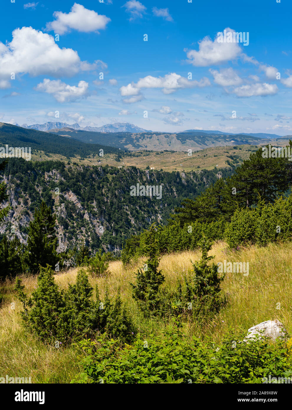 Picturesque summer mountain landscape of Tara Canyon in mountain ...