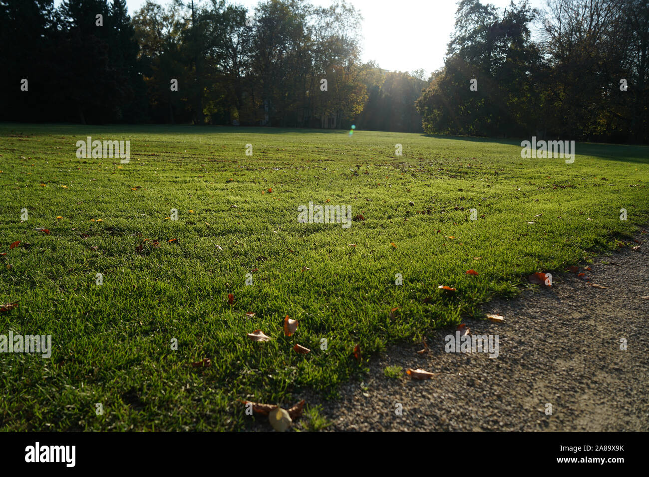 Well laid out path through a park invites you to go for a walk Stock ...