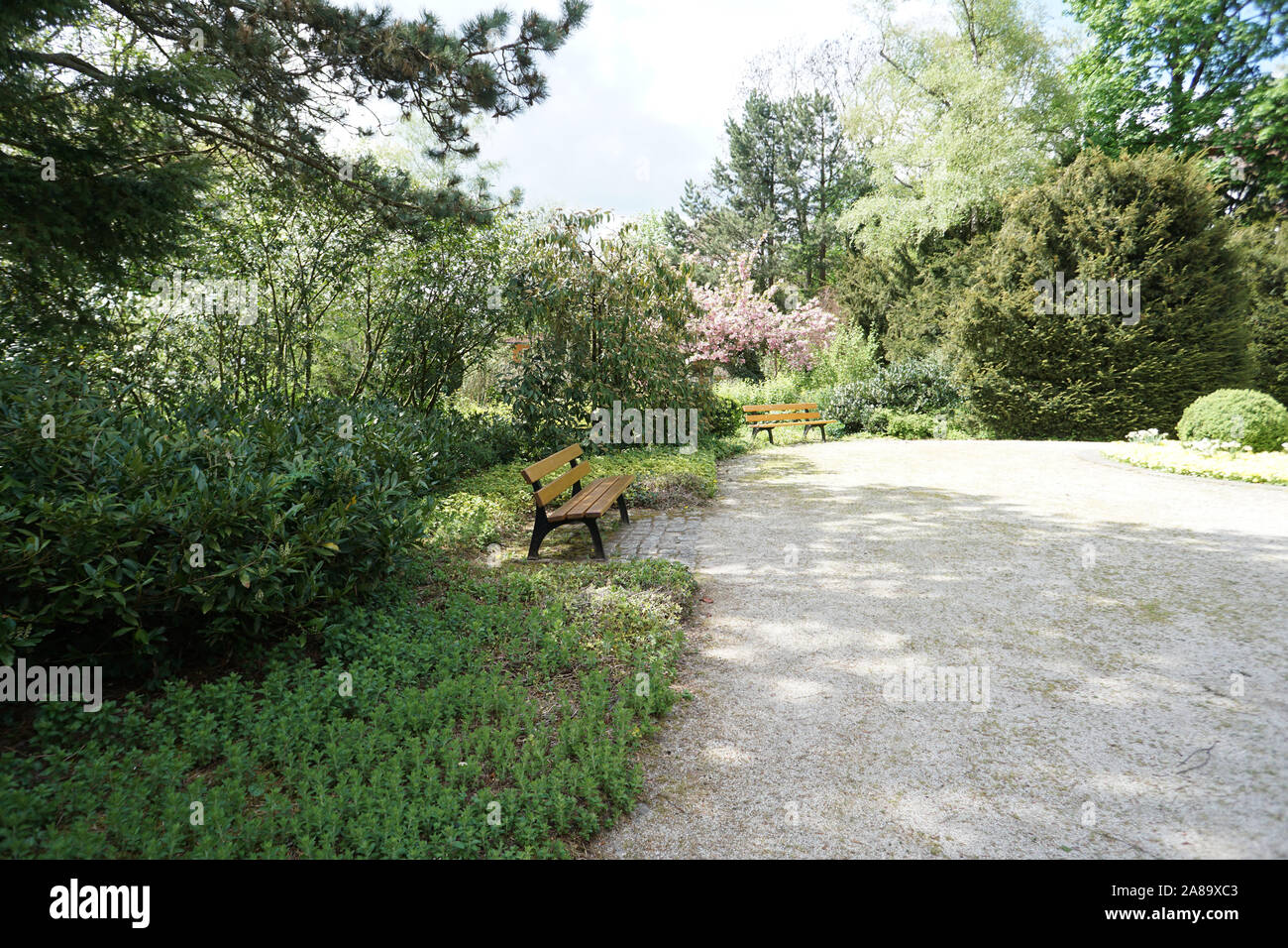 Well laid out path through a park invites you to go for a walk Stock ...