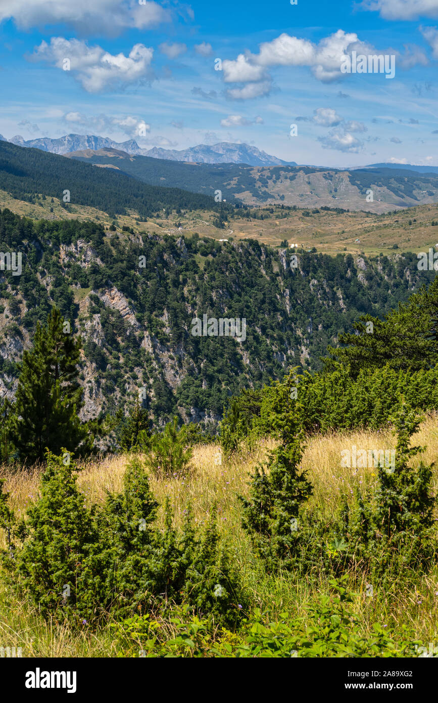Picturesque summer mountain landscape of Tara Canyon in mountain ...