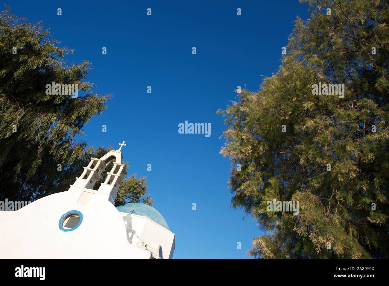 Evergreen trees and blue sky framing an traditional white Greek church ...