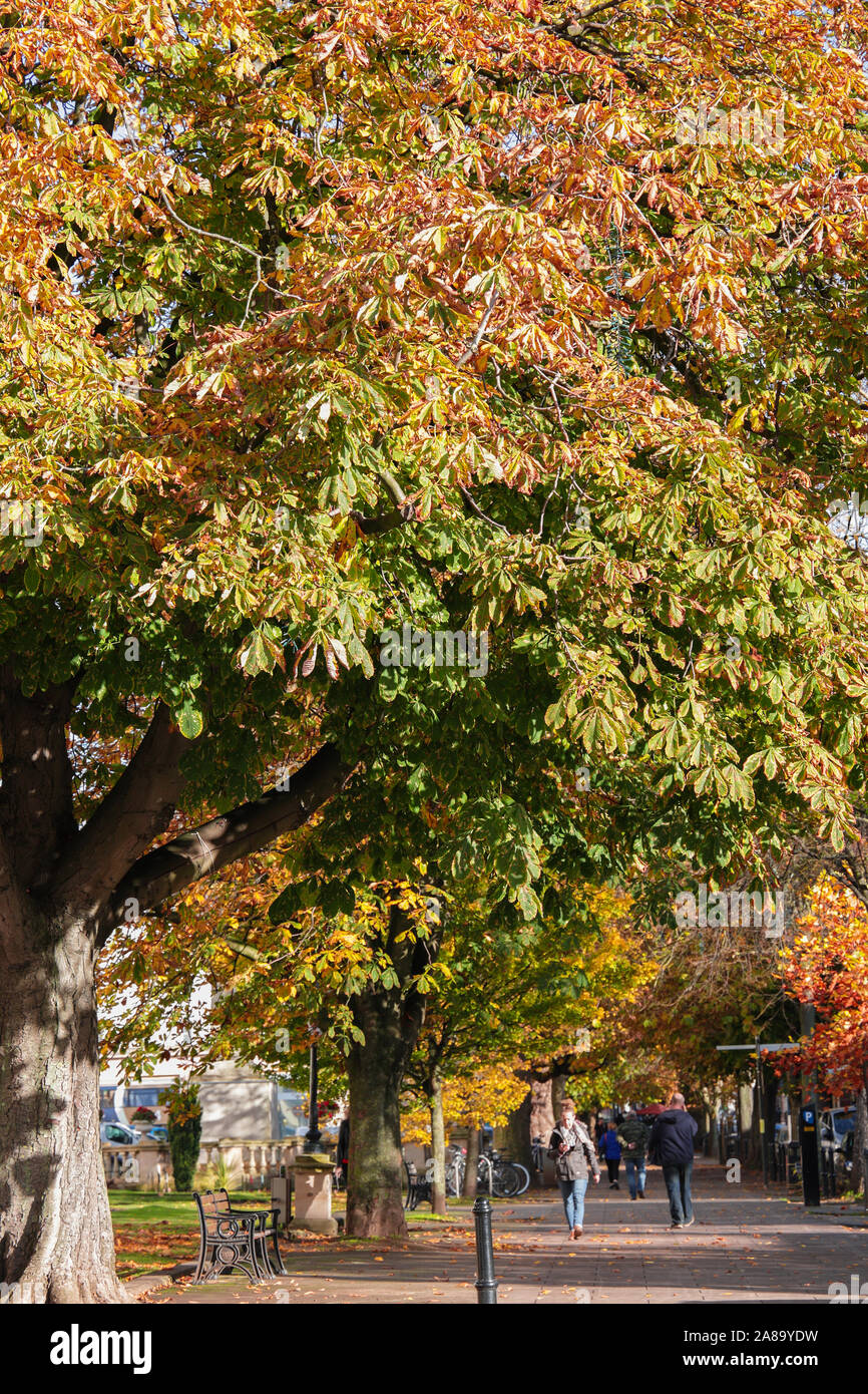 The promenade, cheltenham spa hi-res stock photography and images - Alamy