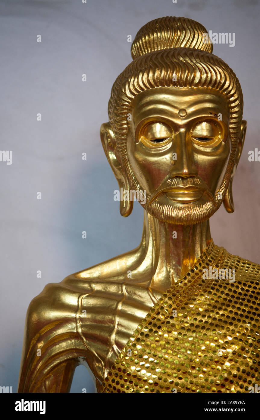 Skinny ribs hi-res stock photography and images - Alamy