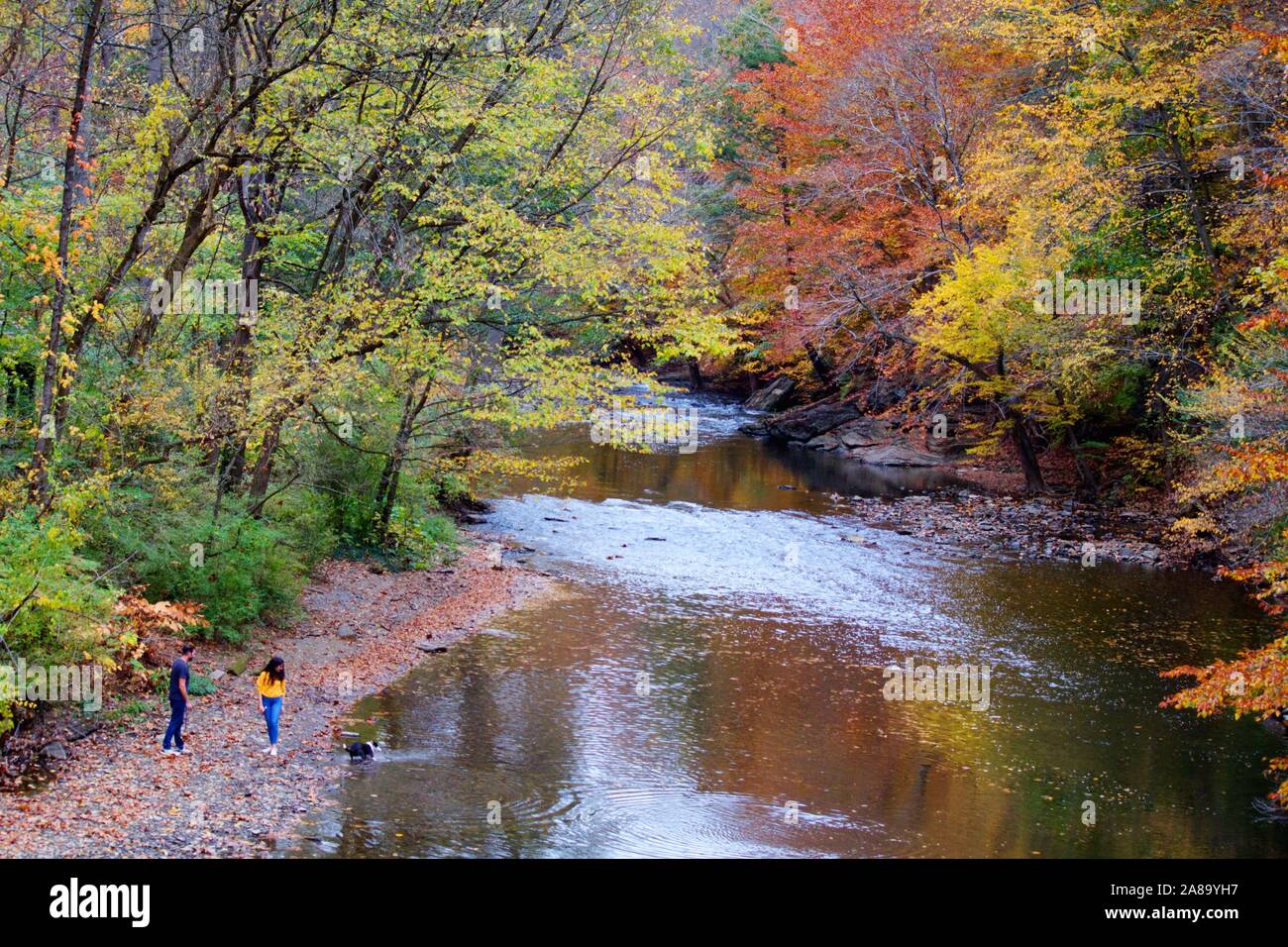 Wissahickon park city High Resolution Stock Photography and Images - Alamy