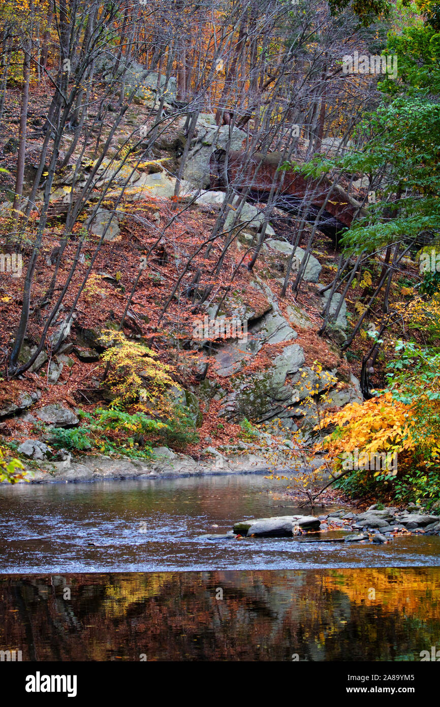 Colorful fall foliage seen in Philadelphia's Wissahickon Valley on an ...