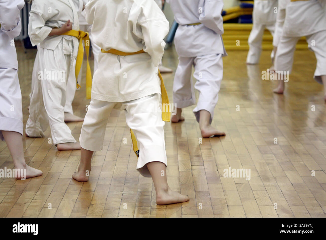 Detail from the karate exercise Stock Photo - Alamy