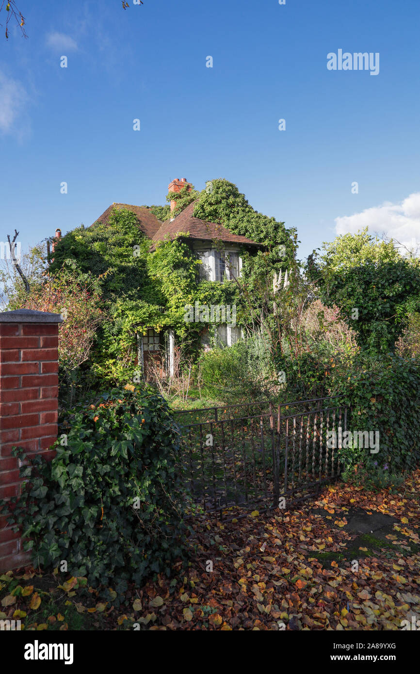 Old run down dilapidated house covered in ivy Stock Photo - Alamy