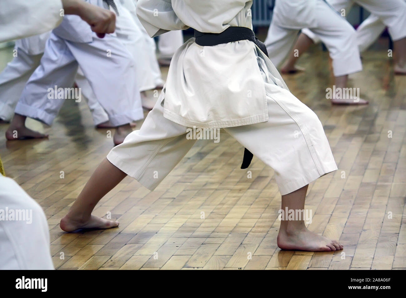 Detail from the karate exercise Stock Photo - Alamy