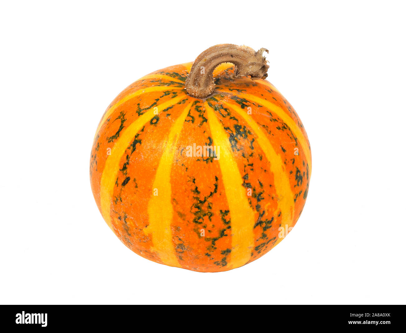Harvest time colorful fall Cut Out Stock Images & Pictures - Alamy