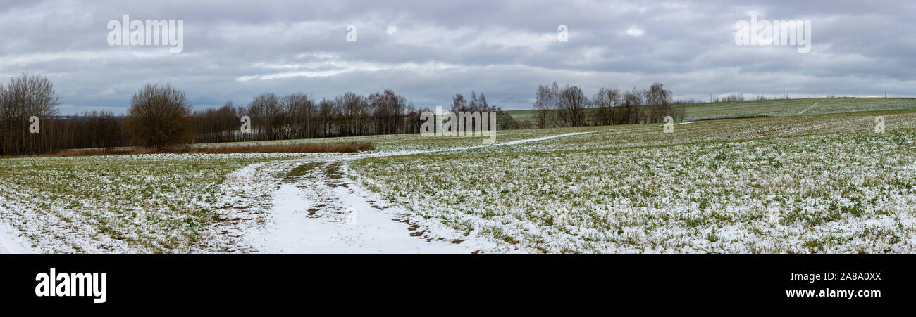 field with green grass after fallen of first snow Stock Photo - Alamy