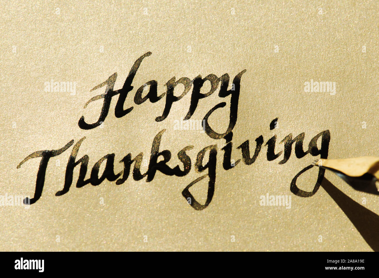Happy Thanksgiving message handwritten in fresh black ink on golden ...