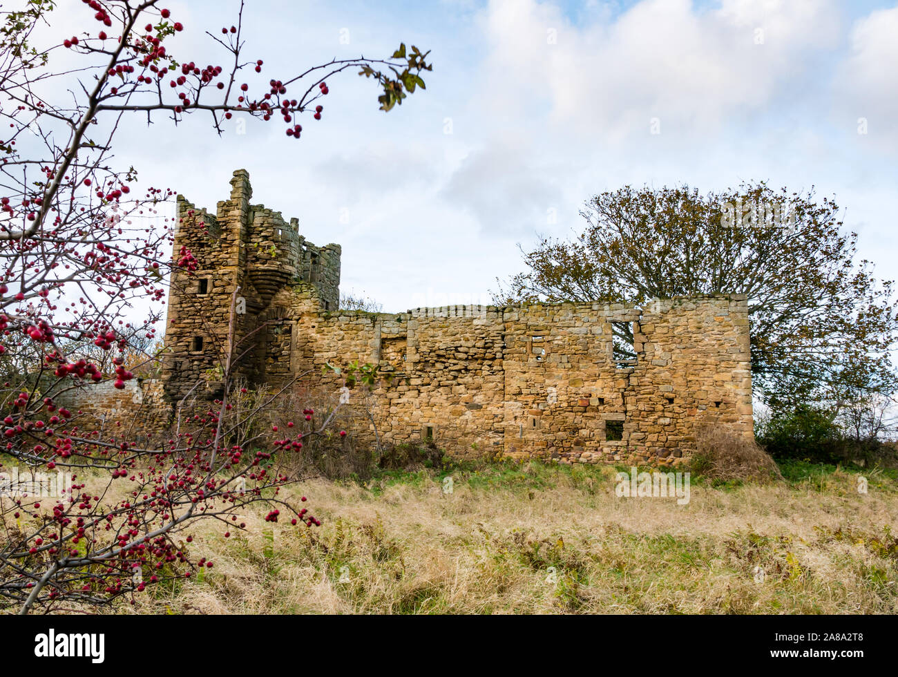 Ruins of 16th century Saltcoats Castle, Gullane, East Lothian, Scotland ...