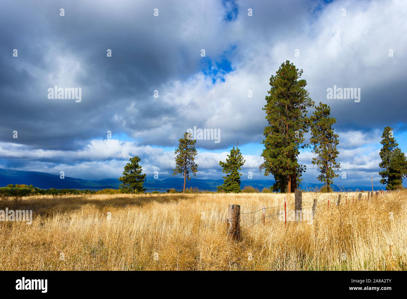 Desert fall colors hi-res stock photography and images - Alamy